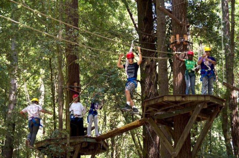8 Places In Bay Area To Have Fun With Friends